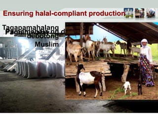 Raising goats the Halal way - RS_Hechanova | PDF