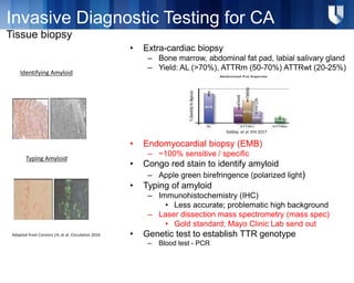 Cardiac Amyloidosis: Diagnostic & Therapeutic Approaches | PPTX