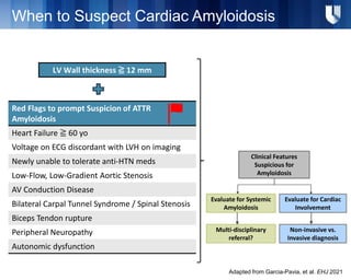 Cardiac Amyloidosis: Diagnostic & Therapeutic Approaches | PPTX