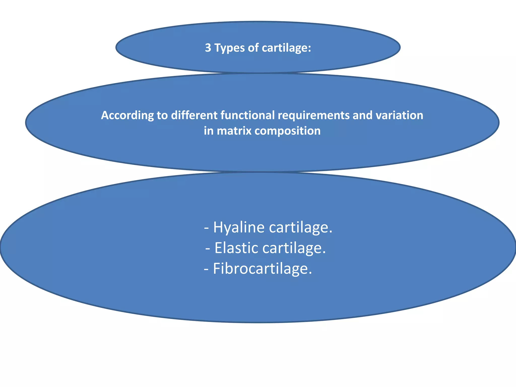 7, Histology of cartilage.pptx