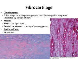 7, Histology of cartilage.pptx