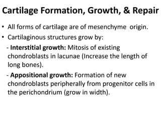 7, Histology of cartilage.pptx