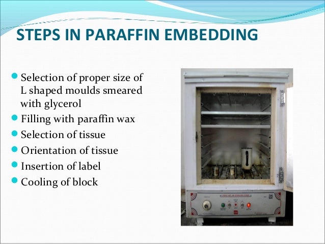 7 histo seminar copy