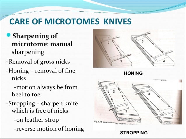 7 histo seminar copy