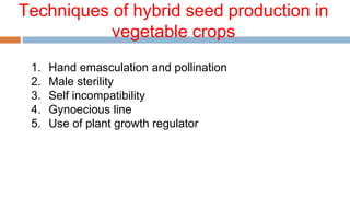 Hybrid seed-production-in-vegetables | PPTX