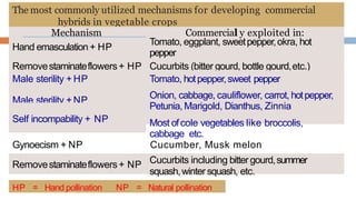 Hybrid seed-production-in-vegetables | PPTX