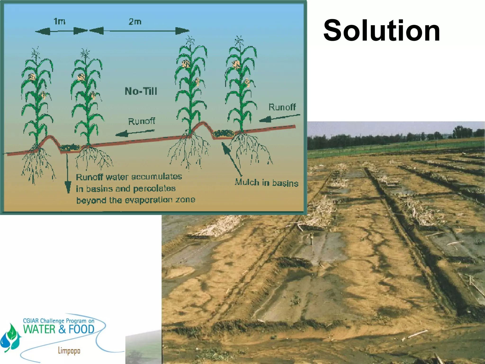 In-field rainwater harvesting: Promising solutions for Africa | PPT