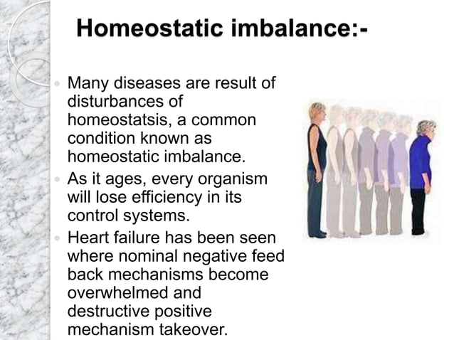 HOMEOSTATIC_MECHANISM.pptx