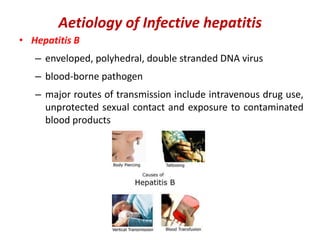 Infective hepatitis and cirrhosis | PPTX