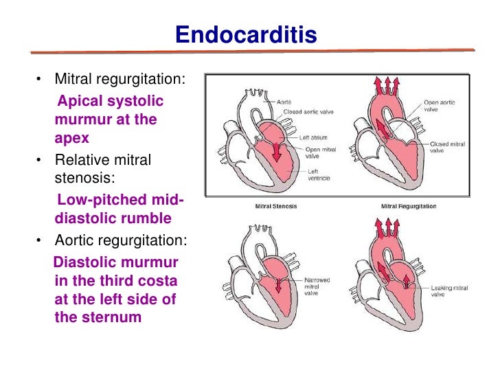 7 international students