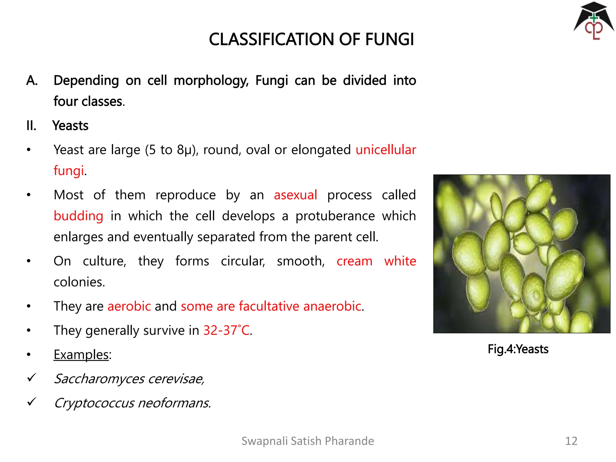 Introduction and Classification of Fungi | PPTX