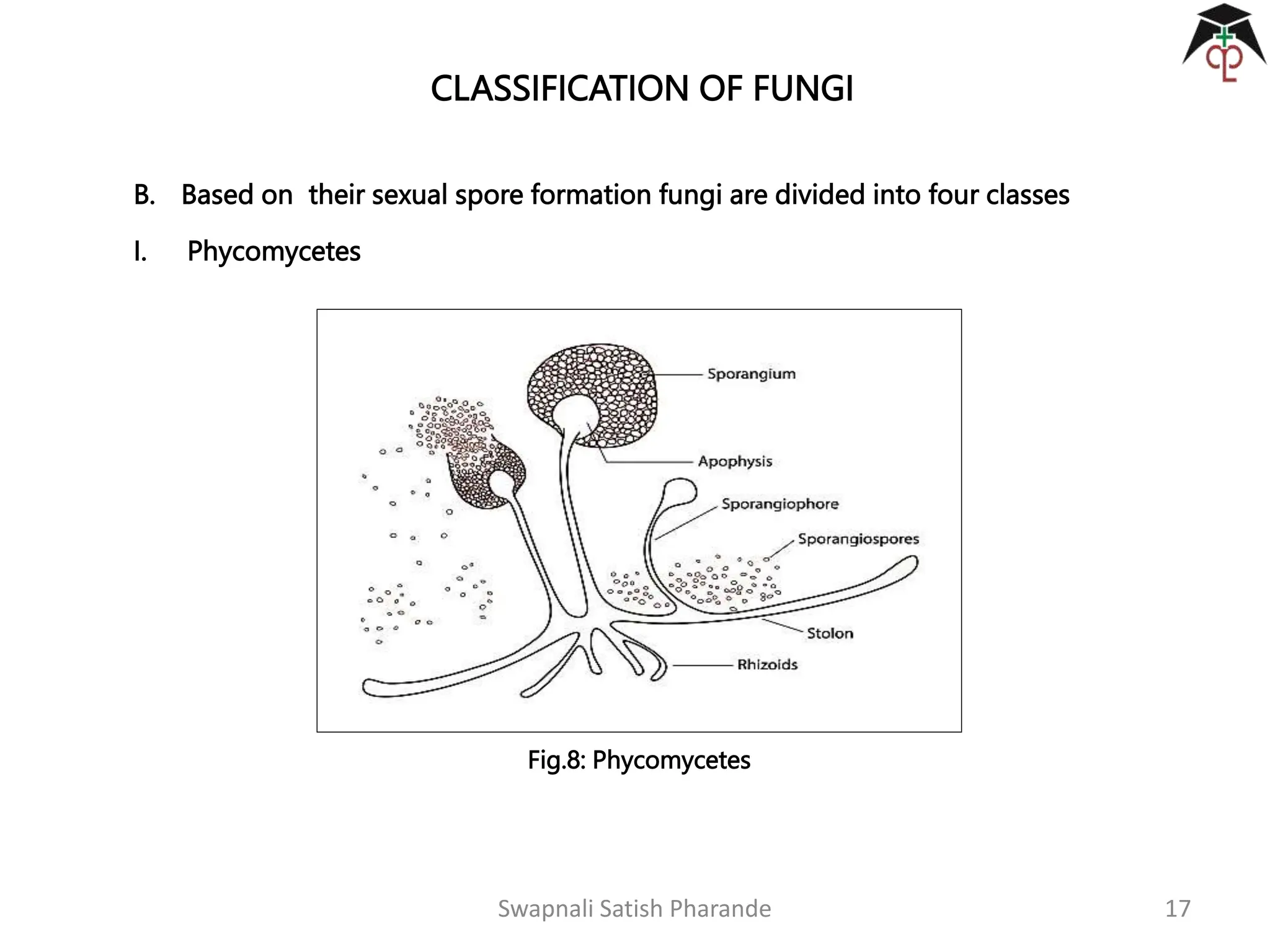 Introduction and Classification of Fungi | PPTX