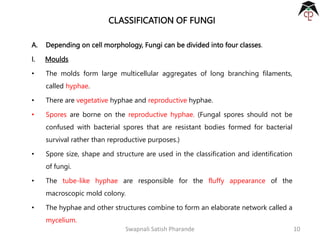 Introduction and Classification of Fungi | PPTX