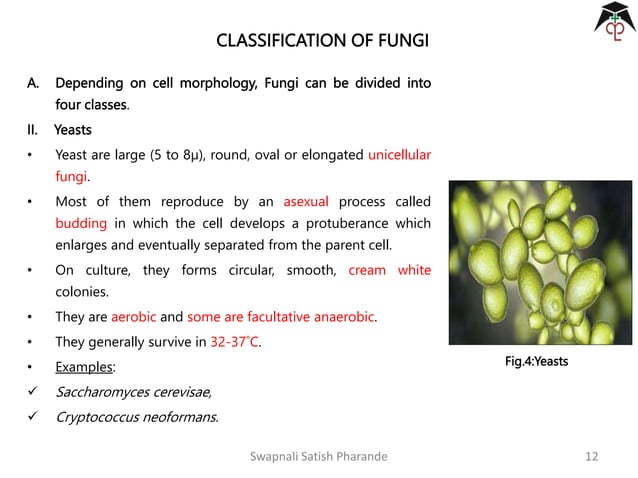 Introduction and Classification of Fungi | PPT