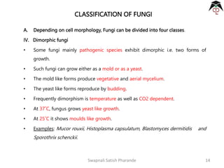 Introduction and Classification of Fungi | PPTX