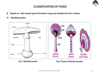 Introduction and Classification of Fungi | PPTX
