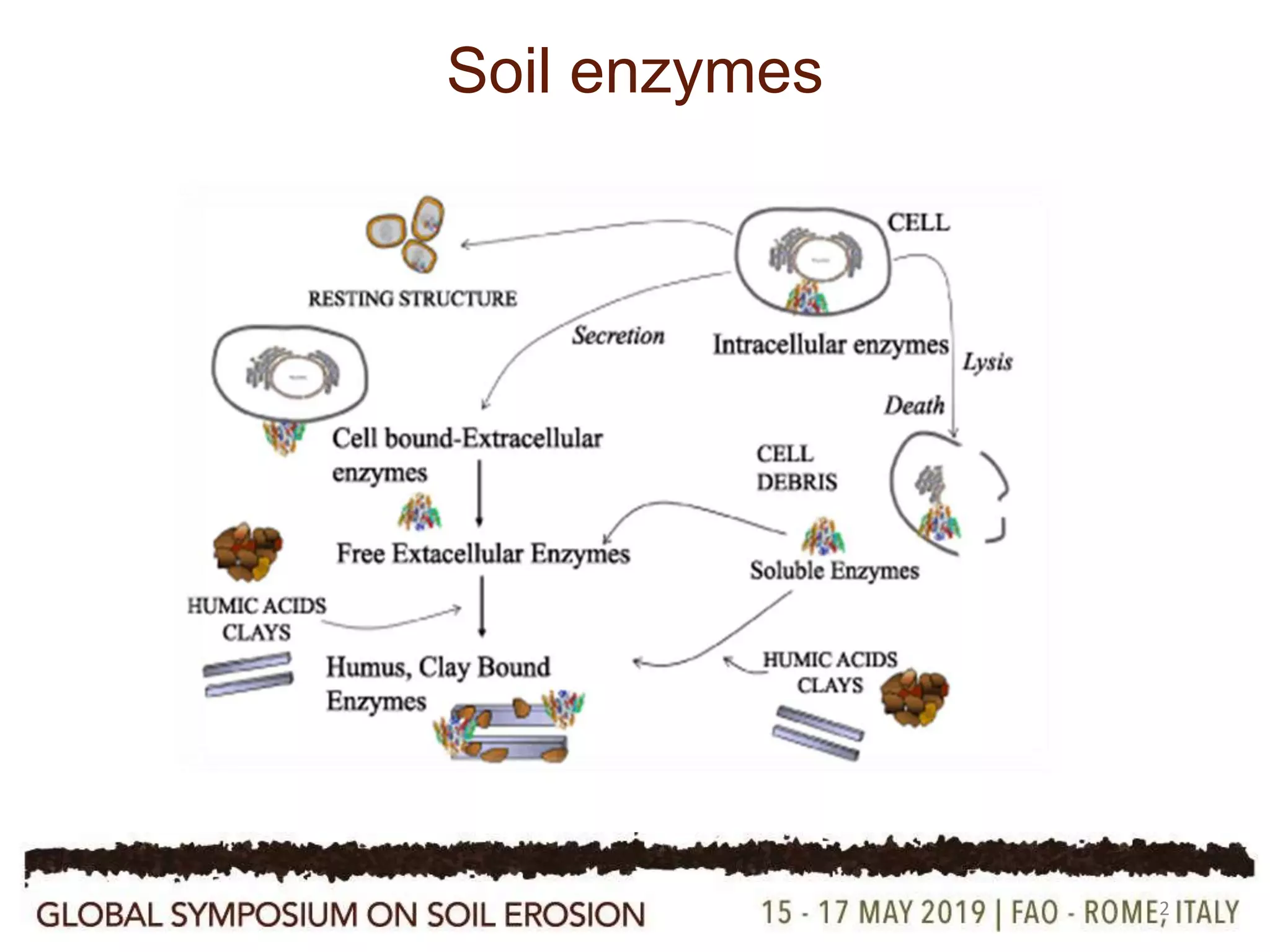 Soil quality assessment by enzyme activities in an olive orchard ...