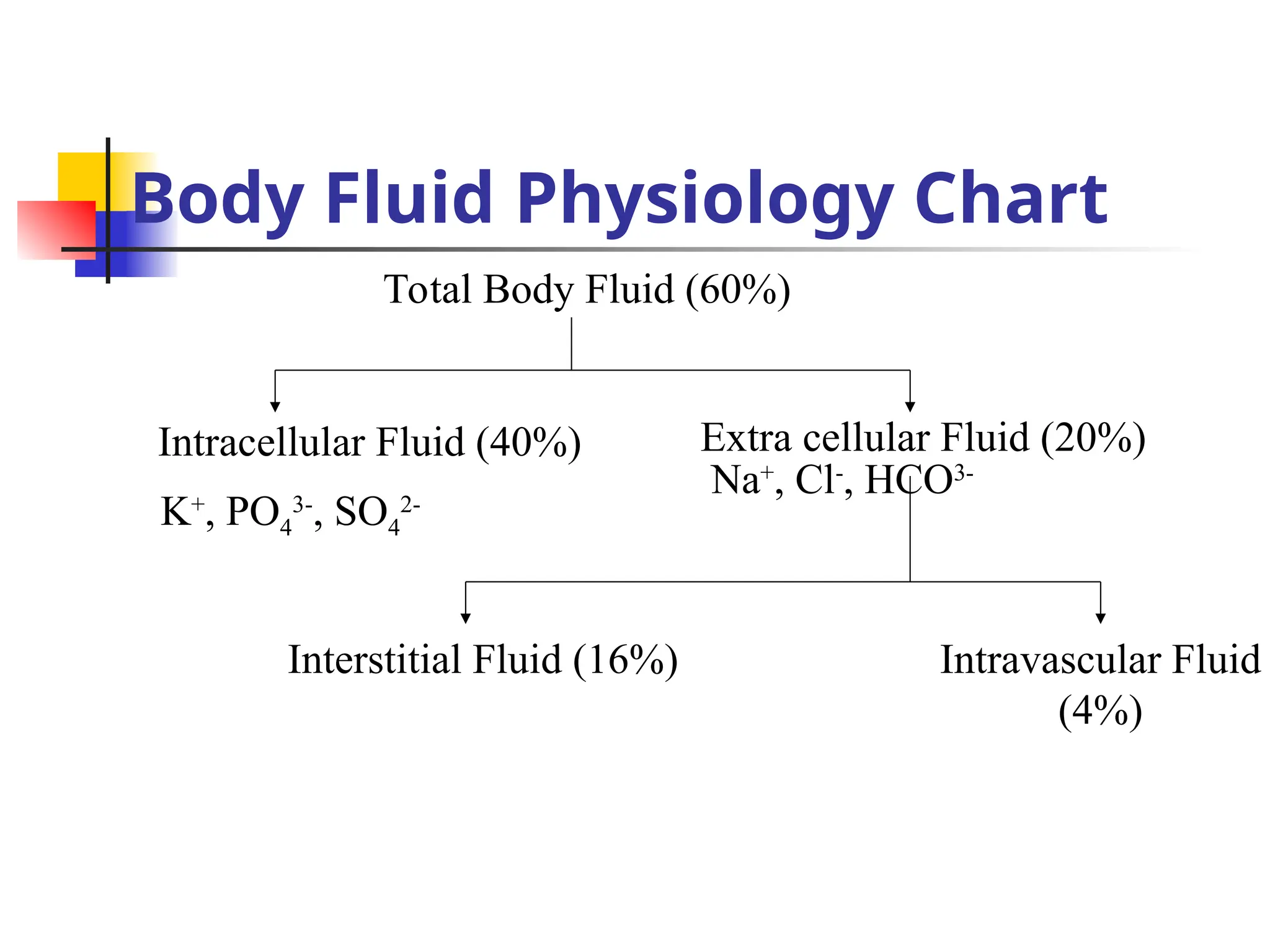 7 types of IV fluids for the intravenous use RL, DNS, NS, D5 , D10 | PPT