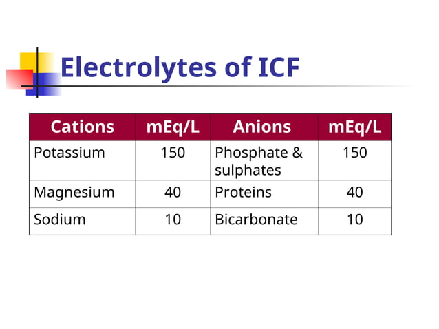 7 types of IV fluids for the intravenous use RL, DNS, NS, D5 , D10 | PPT