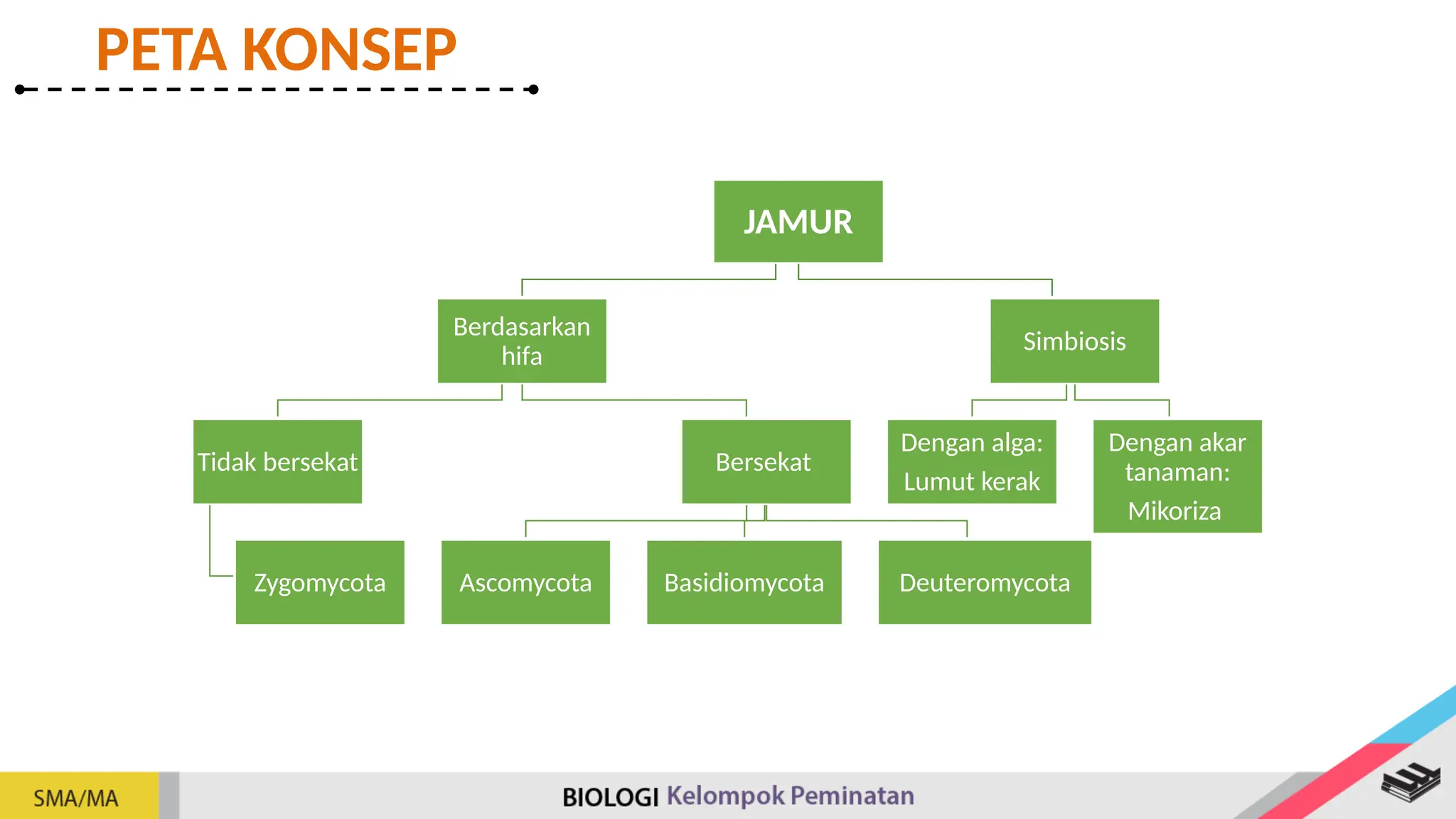 7 Jamur .pptx
