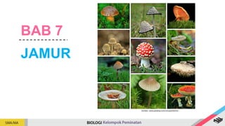 7 Jamur .pptx