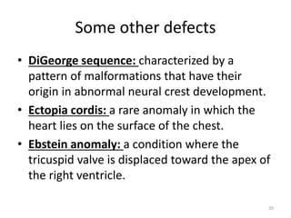 Heart Defects | PPTX