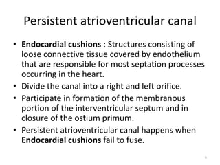 Heart Defects | PPTX