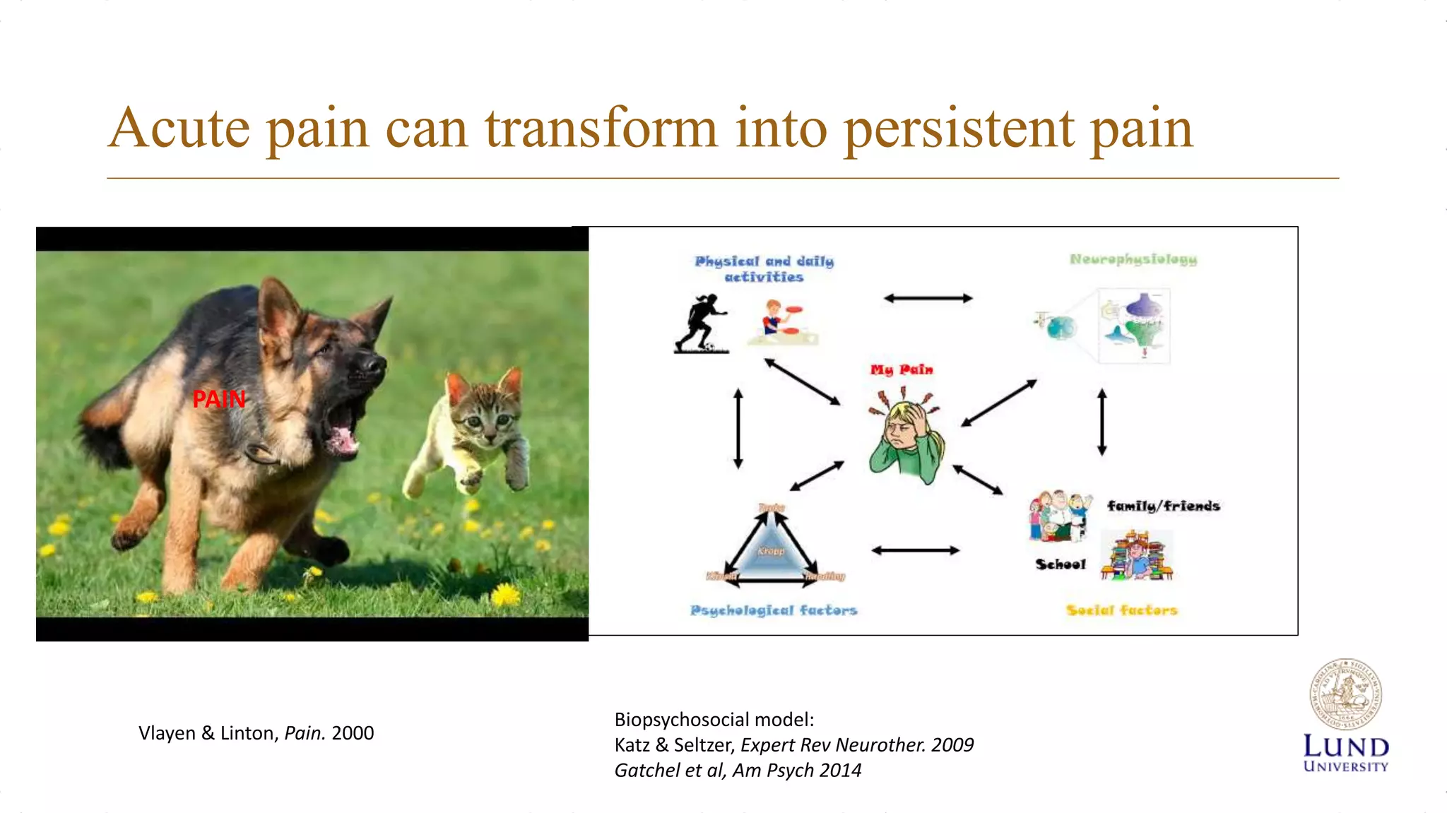 Persistent postsurgical pain in children | PPTX
