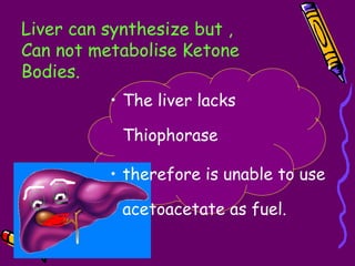 Ketone Body Metabolism | PPT