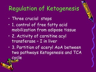 Ketogenesis Steps