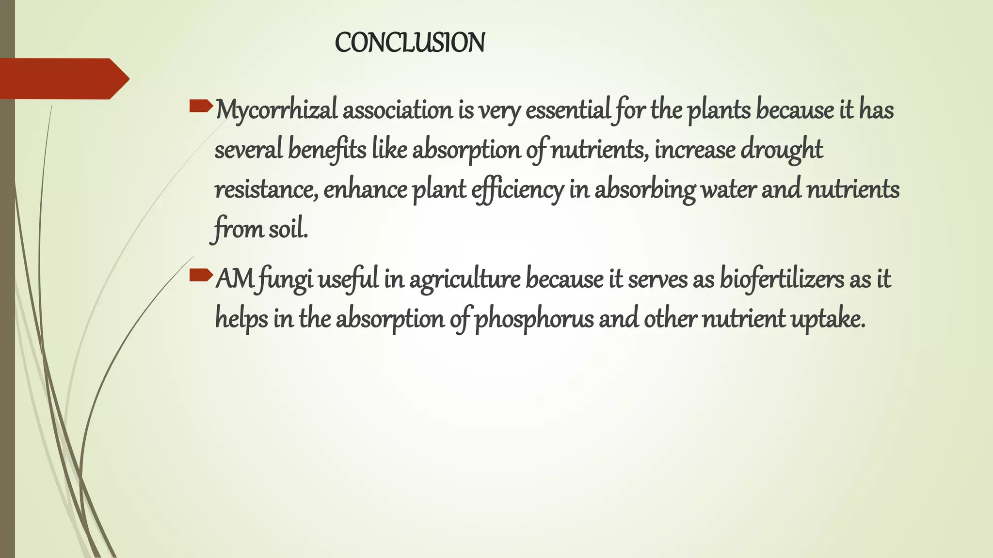 mycorrhiza types, distribution and significance. | PPTX