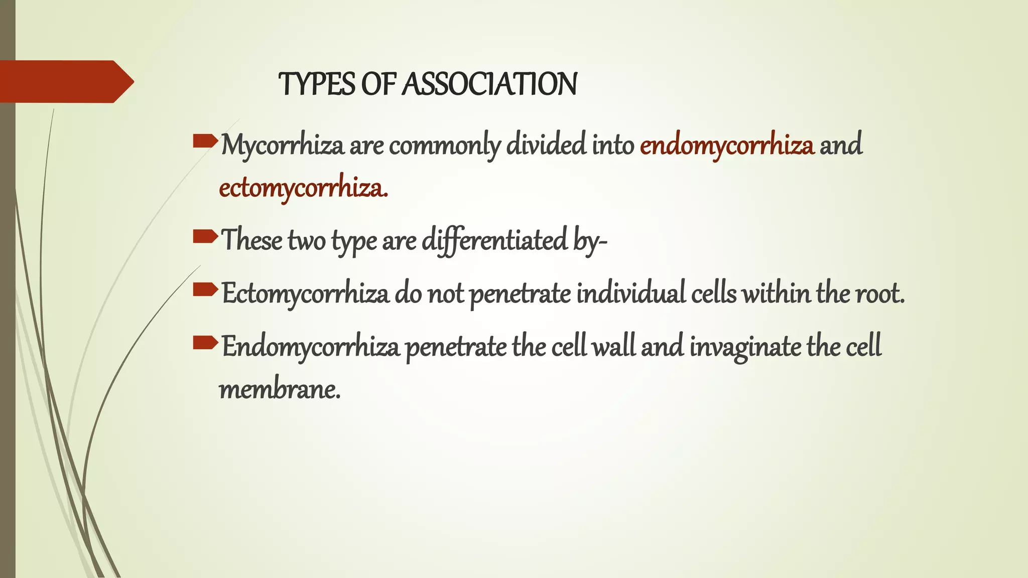 mycorrhiza types, distribution and significance. | PPTX