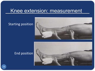 7 knee assessment examination | PPTX