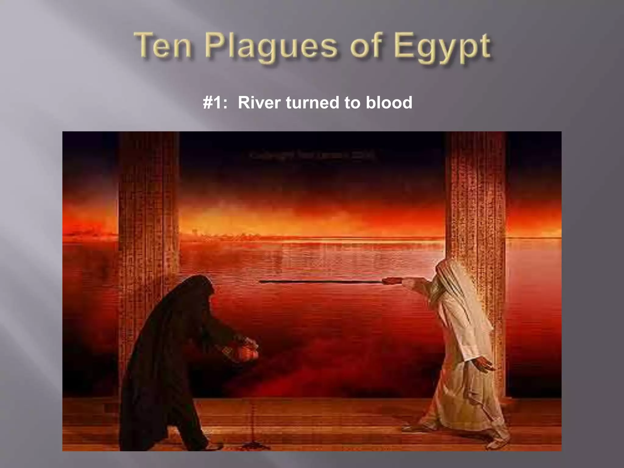 7lastplagues 140401115541-phpapp02 | PPTX