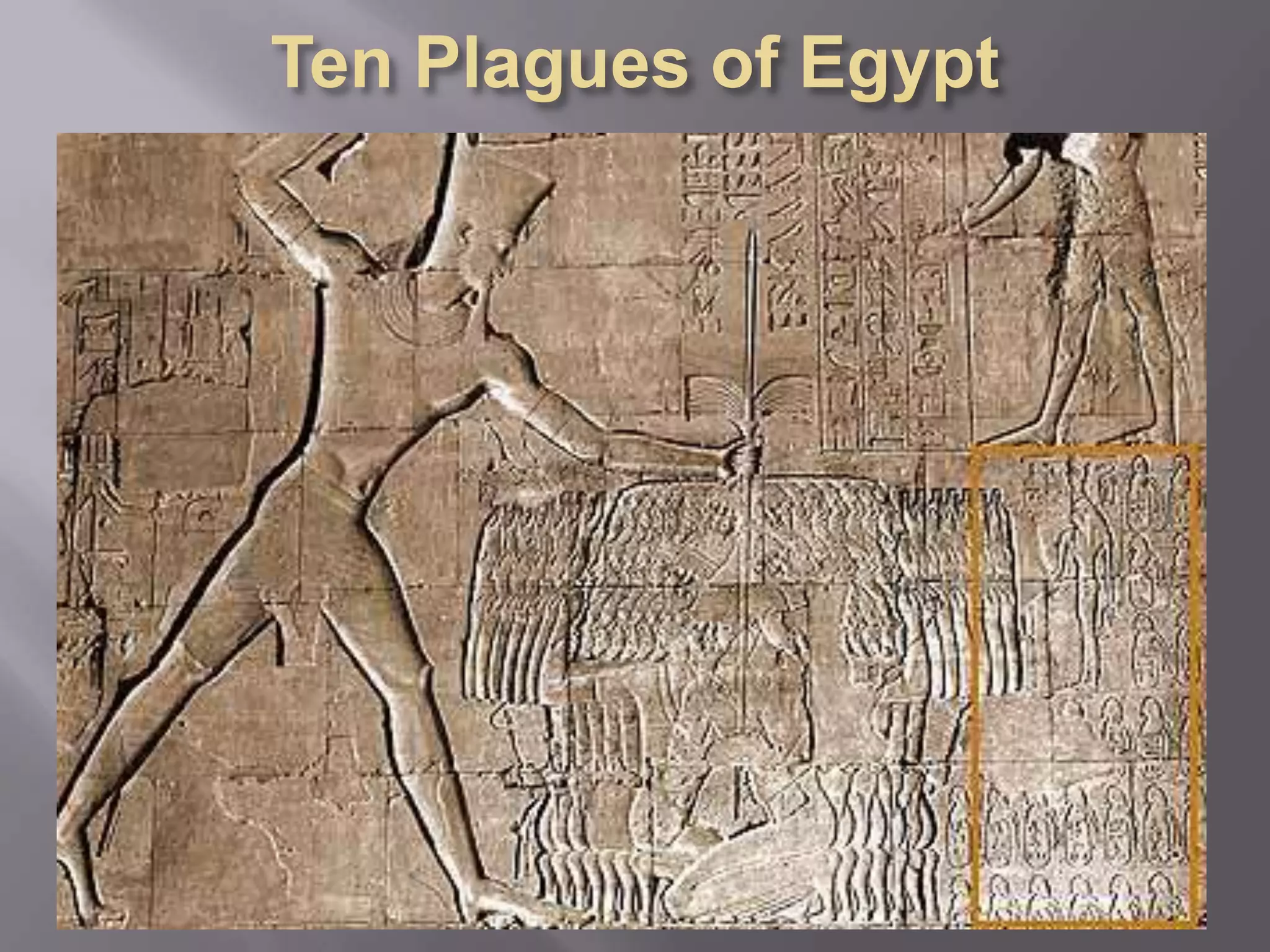 Seven Last Plagues Handout - Revelation 14-15 | PPTX