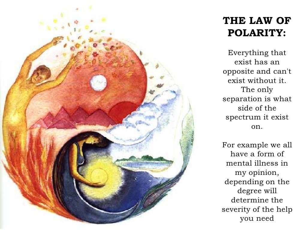 THE LAW OF POLARITY: Everything