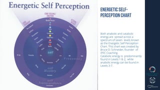Energetic Self Perception