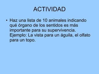7 los seres vivos como sistemas que interaccionan con el medio | PPT