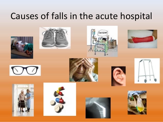 FA Presentation 7 Louise Brent