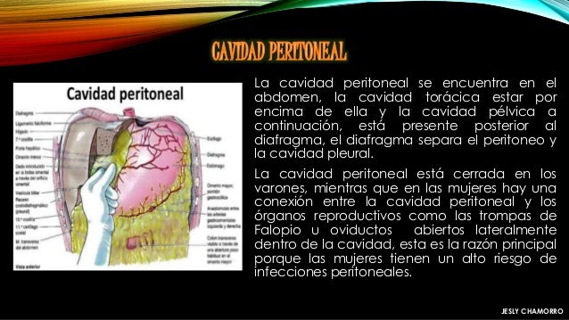 Anatomia Peritoneo Y Cavidad Peritoneal – RBMCRK