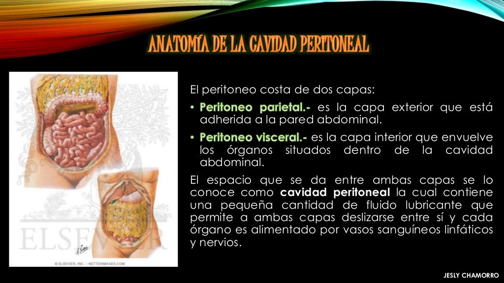 Peritoneo, Cavidad Peritoneal