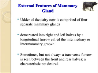7 Mammary Structure.pptjfeeifiefjcnrjjcjjcjc | PPT