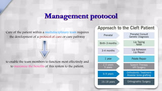 Management of Cleft Lip and Cleft Palate | PPT