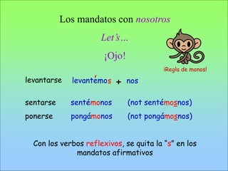 7 mandatos | PPT