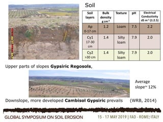 Soil water holding capacity affected by erosion in olive orchards under ...