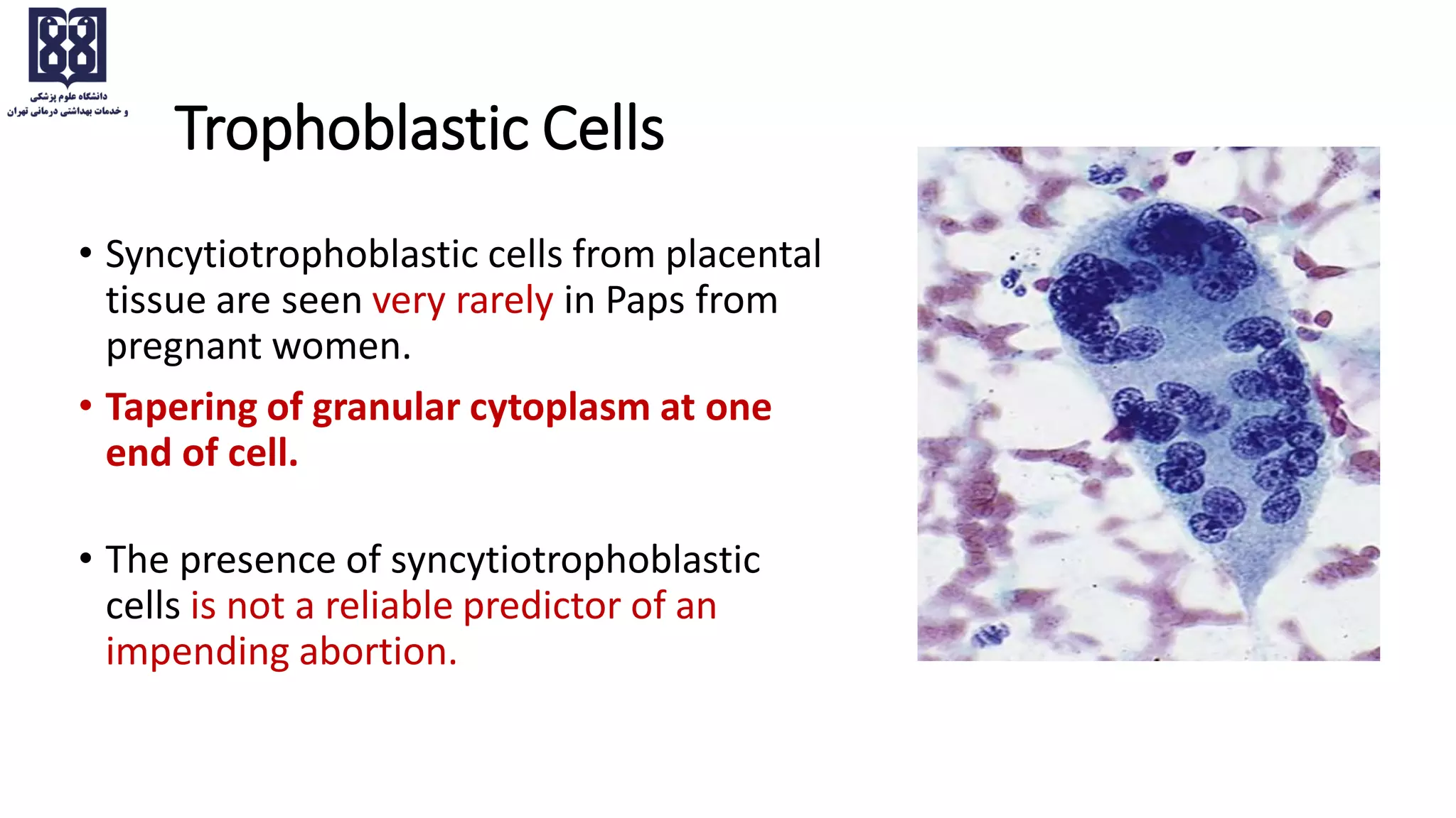 Pap smaer cytology | PDF