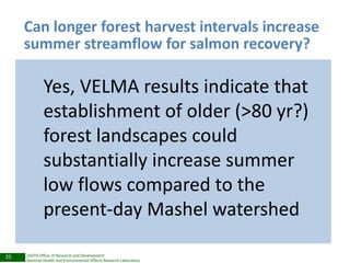 Bob McKane, Nisqually Community Forest VELMA modeling | PDF