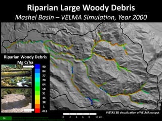 Bob McKane, Nisqually Community Forest VELMA modeling | PDF