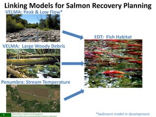 Bob McKane, Nisqually Community Forest VELMA modeling | PDF