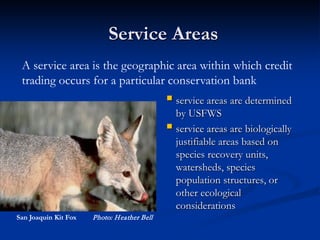 Conservation Banking: Policy & Practice, Opportunities & Challenges | PDF